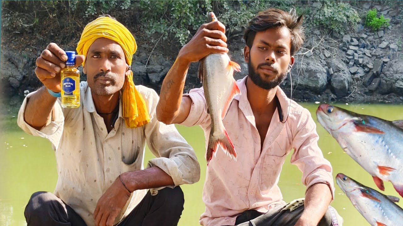 #fish fry cooking in village| big fish fry in pond| the real cooking ...