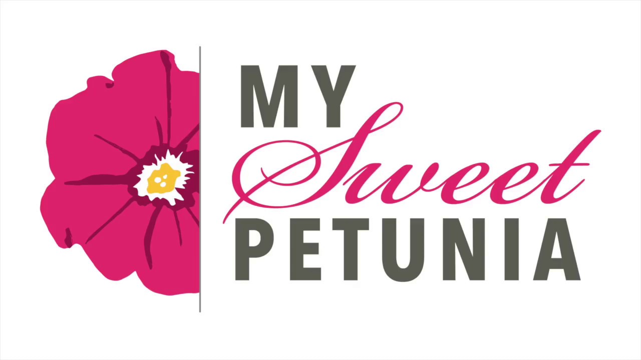 Borders on the Memory MISTI - YouTube