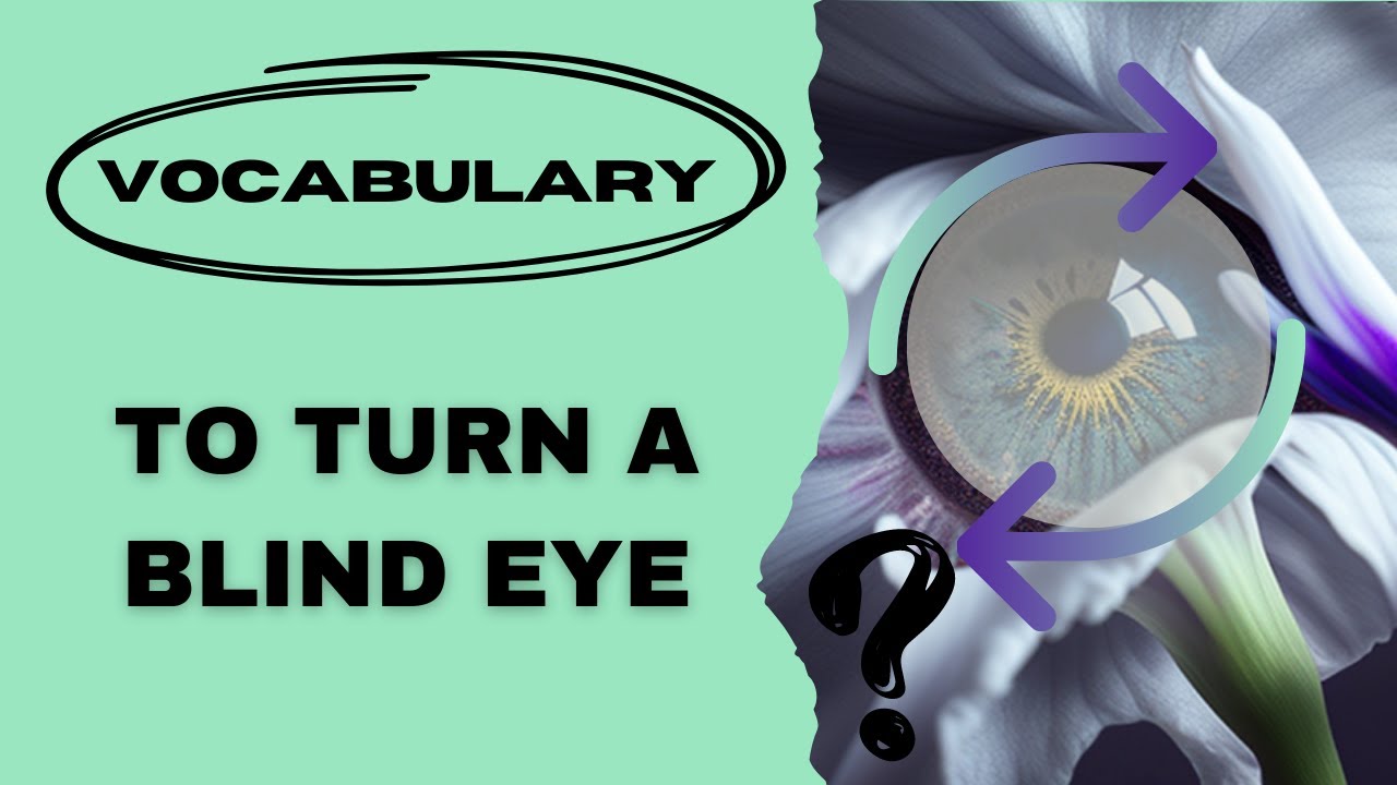 What does "to turn a blind eye" mean? - YouTube