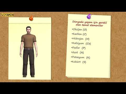 İNSAN VÜCUDUNU OLUŞTURAN ELEMENTLER (Fen Bilimleri 7)