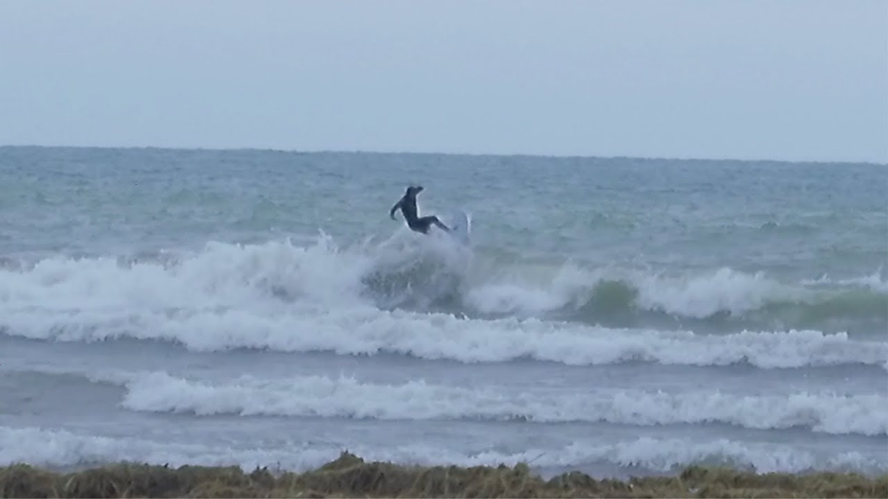 Surfing Lake Michigan episode 30 (beach cam) - YouTube