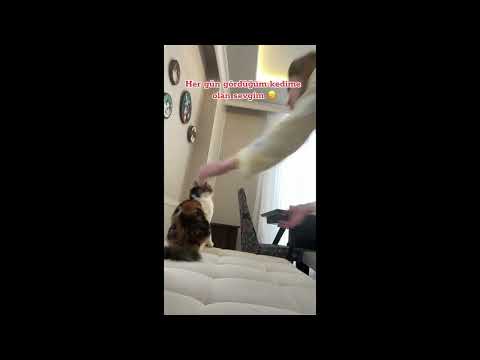 instagramdan seçmeler 1 #komik  #komik videolar