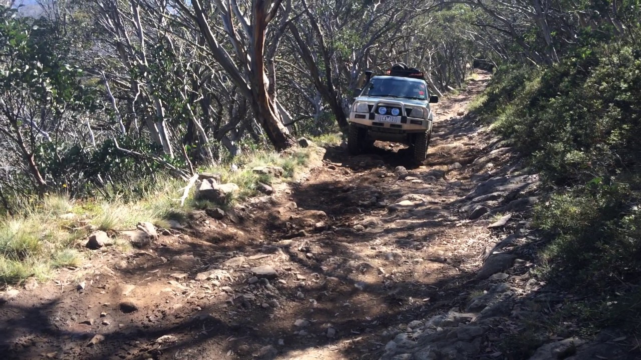 King Billy Track (Mansfield, Victoria) - YouTube