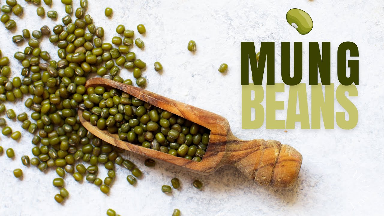 10 Facts about Mung Beans, find out what makes them so wholesome and ...