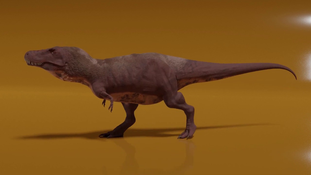 Tyrannosaurus Rex walk cycle - YouTube