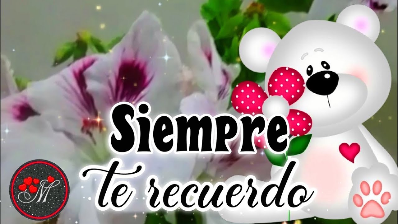 TE RECUERDO CADA DIA 💕 Video de amor para dedicar - YouTube