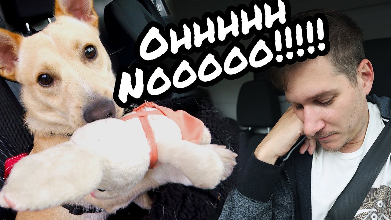 Ohhhhh Nooooo!!!!! Ein Schloss, eine Panne und Hilfe unter Campern ...