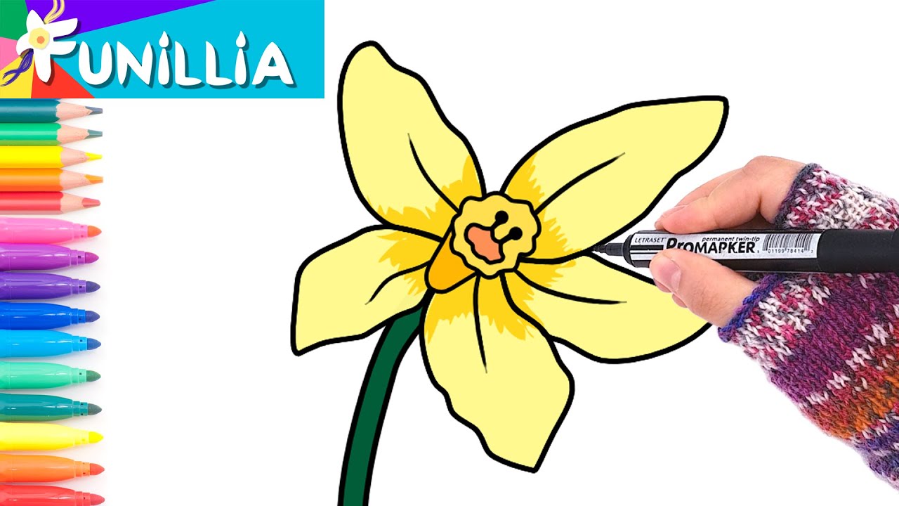 Daffodil Flower Spring Coloring Page Art Tutorial for Kids | Fun & Easy ...