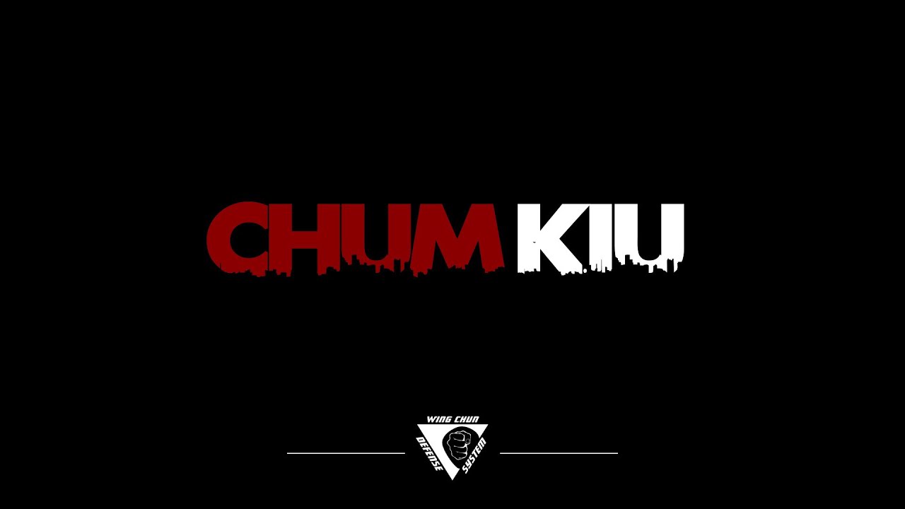 Wing Chun Defense System: Chum Kiu Tao - YouTube