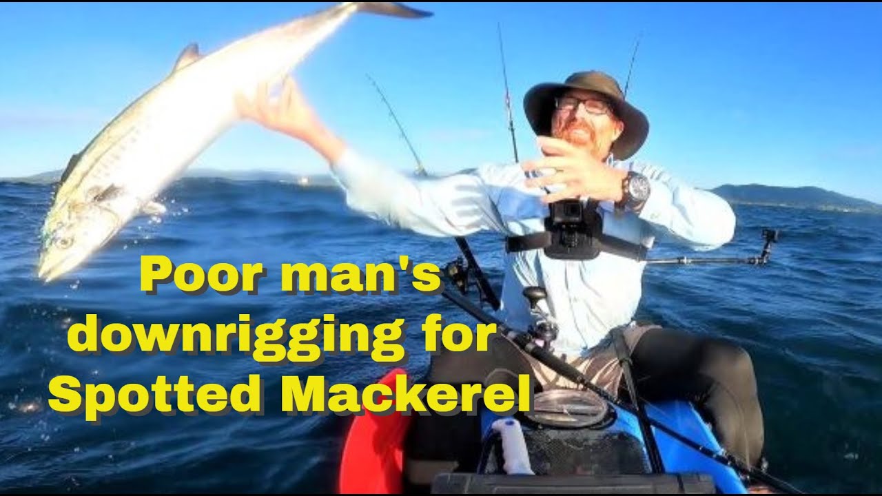 Poor man's DOWNRIGGING for SPOTTED MACKEREL. Rob Taylor's Hot Water ...