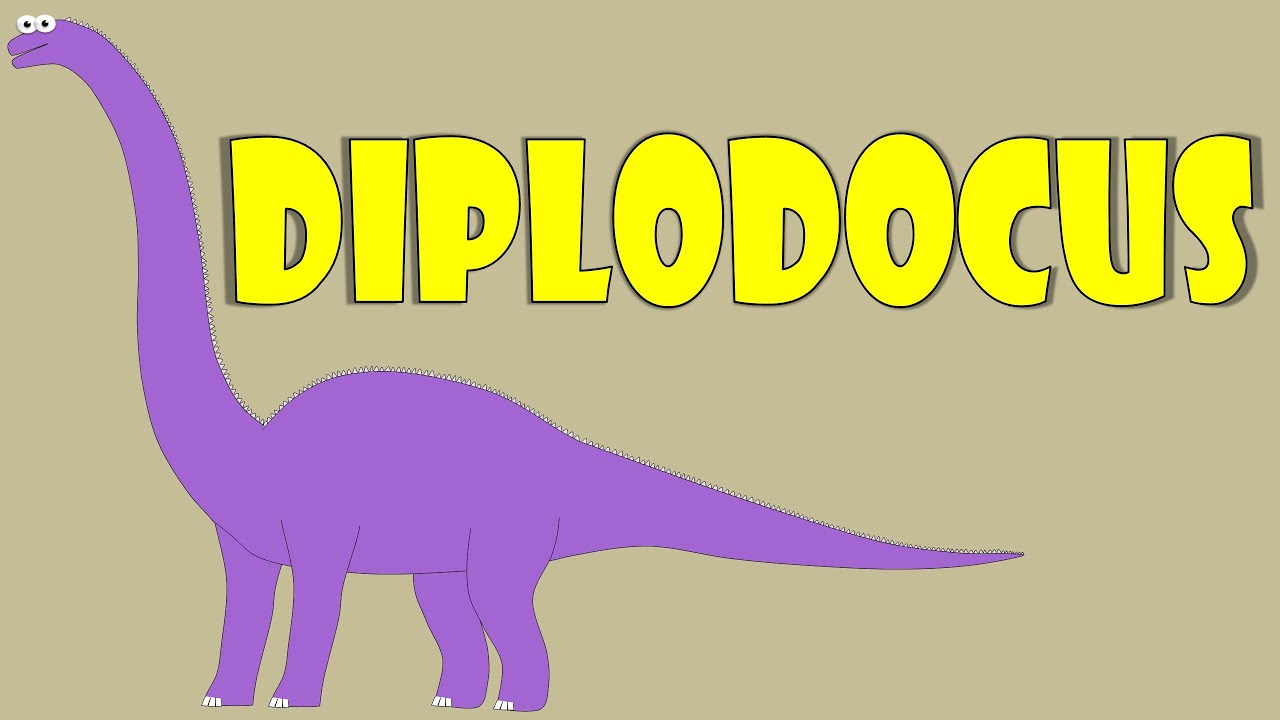 Diplodocus for kids - Dinosaurs for toddler - YouTube
