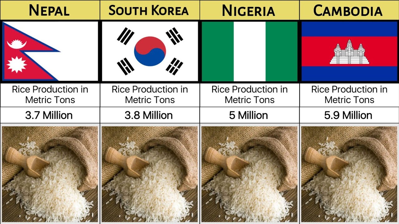 Wild Rice Production By Country at Nathaniel Thompson blog