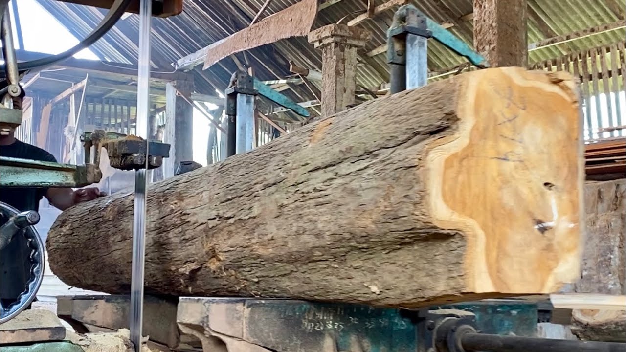 This is how expert carpenters process teak wood into thick planks - YouTube