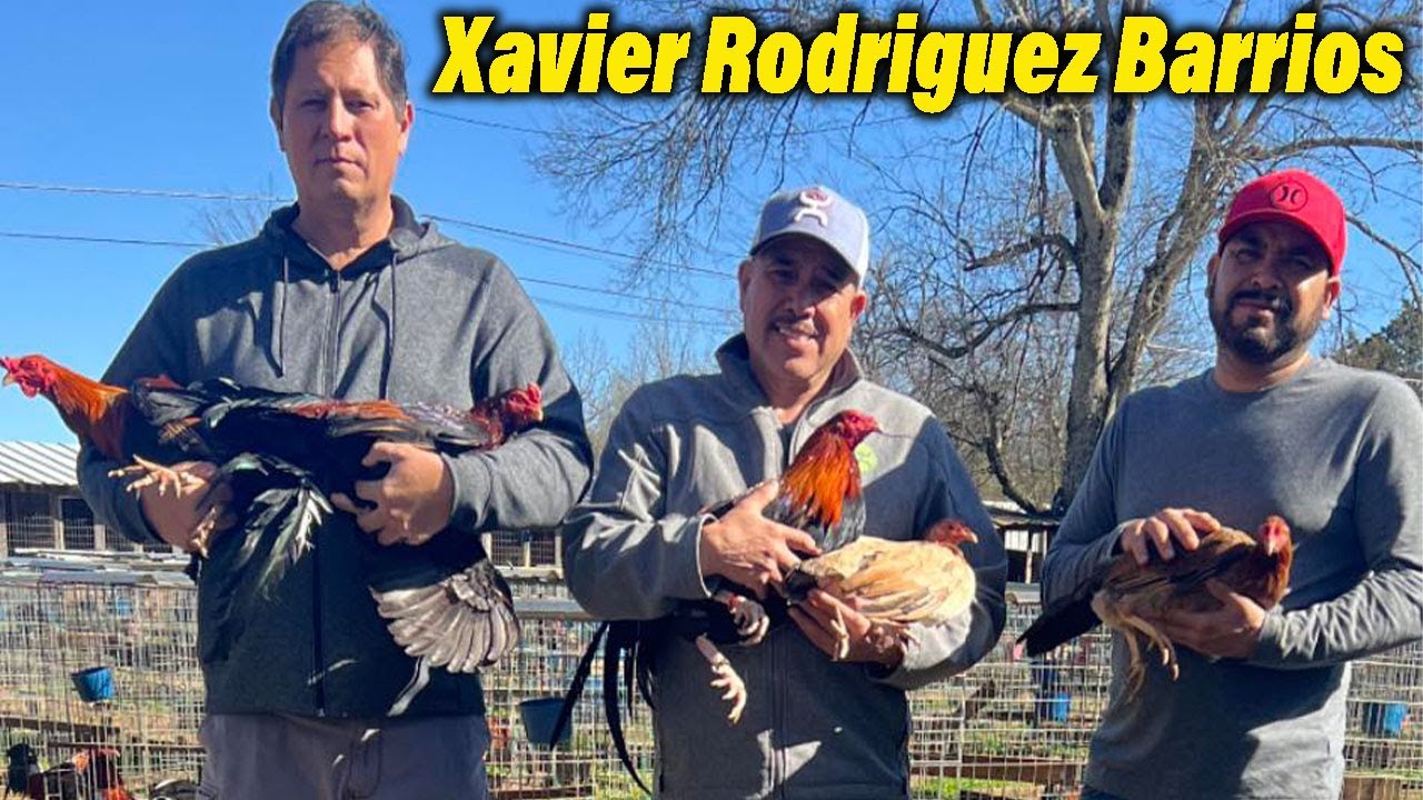 Sweater Asil Tennessee Xavier Rodriguez Farm - YouTube