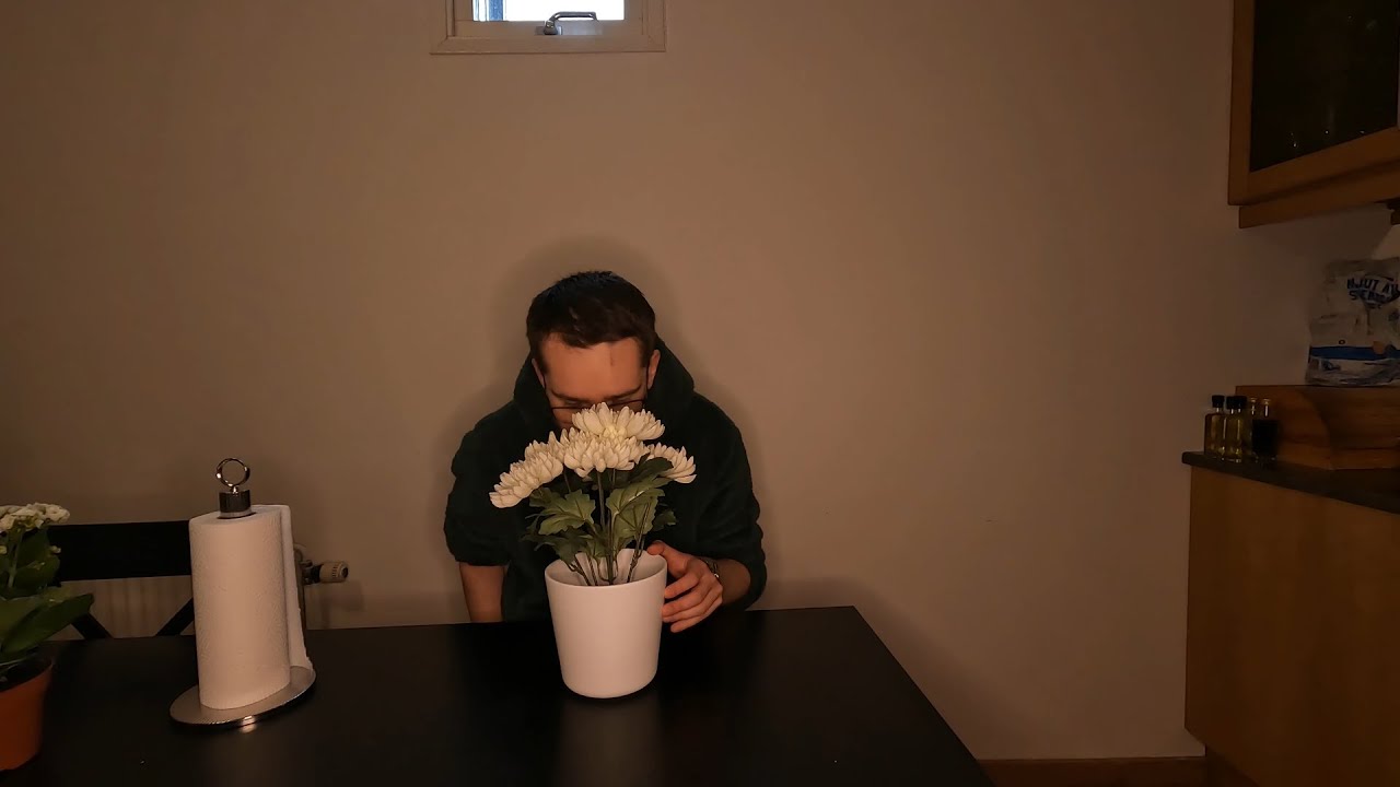 Dusty flowers makes me explode in sneezes (M) - YouTube