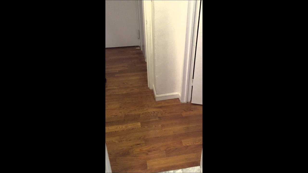 Drew and Moose's viral video - Carl Marucci - 2014 - YouTube