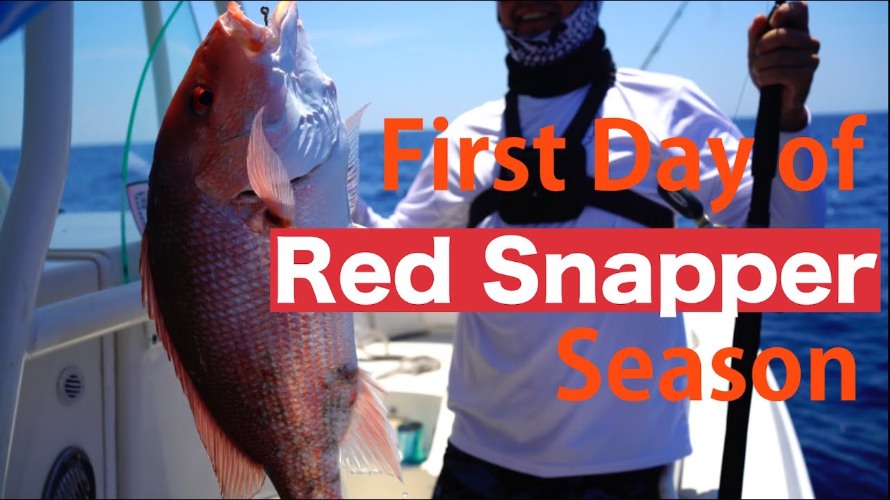 First day of American Red Snapper Season - YouTube
