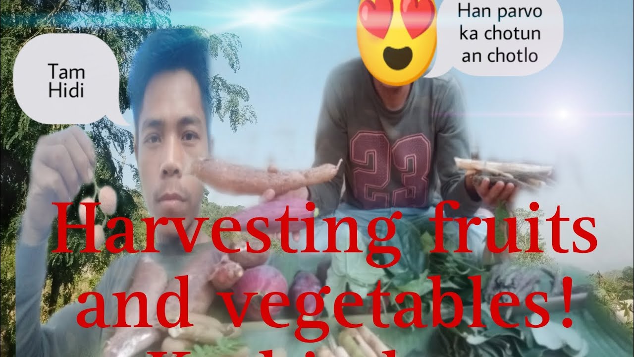 Harvesting Wild fruits and vegetable!Harvesting vegetable!karbi ...