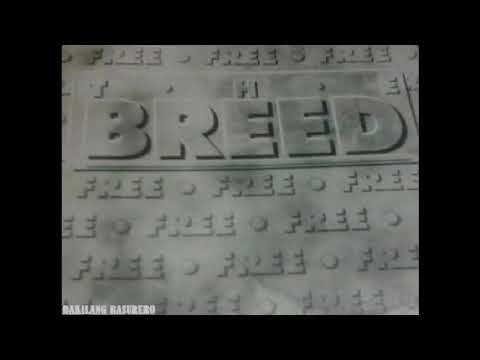 The Breed (Free Full Album) - YouTube