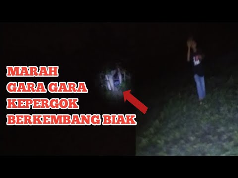 Asli Terlihat Jelas - Kepergok Berkembang Biak Di Gubuk Cinta Jam 12 malam Lempar Batu Besar