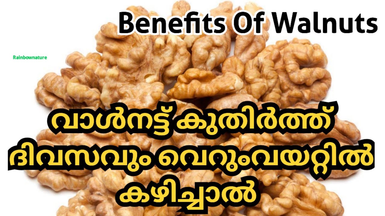 വാൾനട്ടിന്റെ ആരോഗ്യഗുണങ്ങൾ/Health Benefits Of walnuts.#rainbownature,# ...