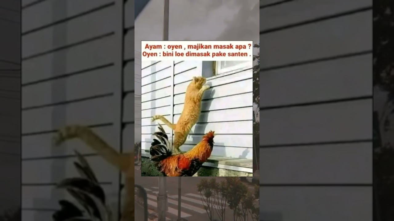 oyen koq gitu... 😀 #meme #memelucu #fyp - YouTube