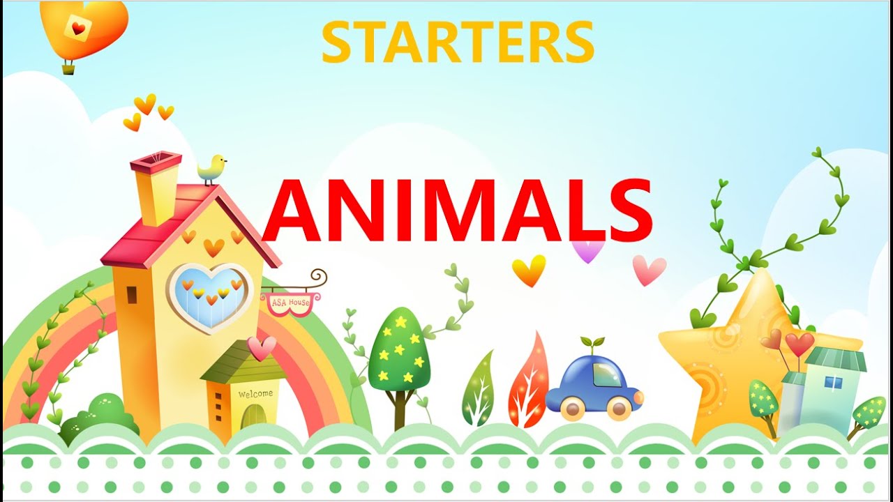 Animals - Vocabulary for Starters - YouTube