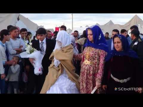 Arapça Hareketli