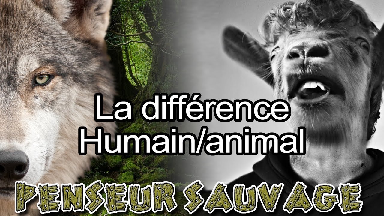 C'est quoi être Humain ? | La différence Homme/Animal - [Animaux CH.2 ...