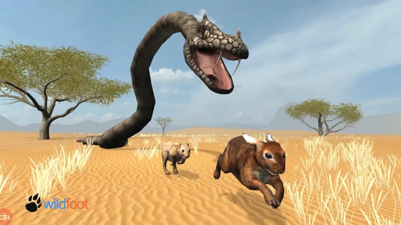Snake Chase Simulator Android Gameplay - YouTube