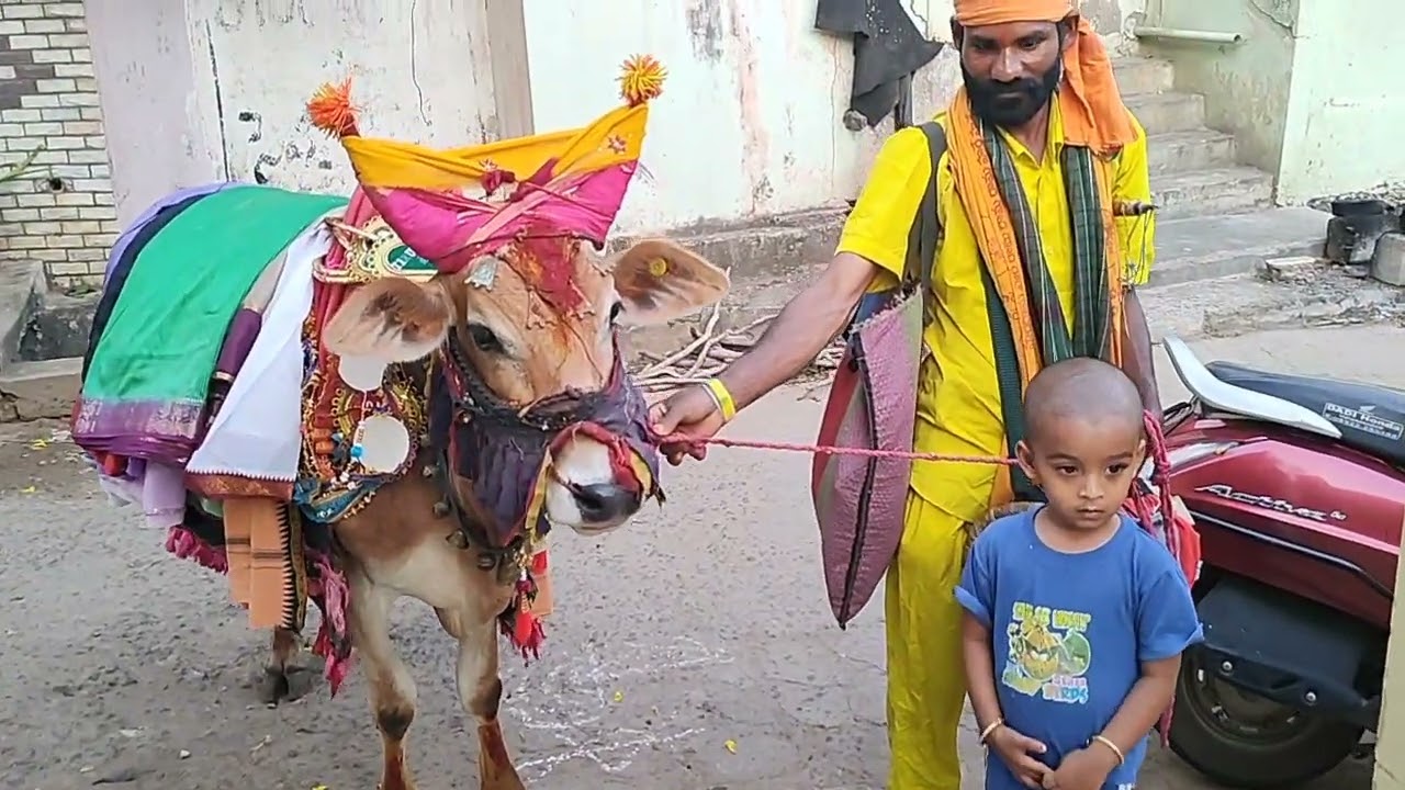 Gangireddu dancing at our door steps ll Gangireddu dance ll Sankranti ...