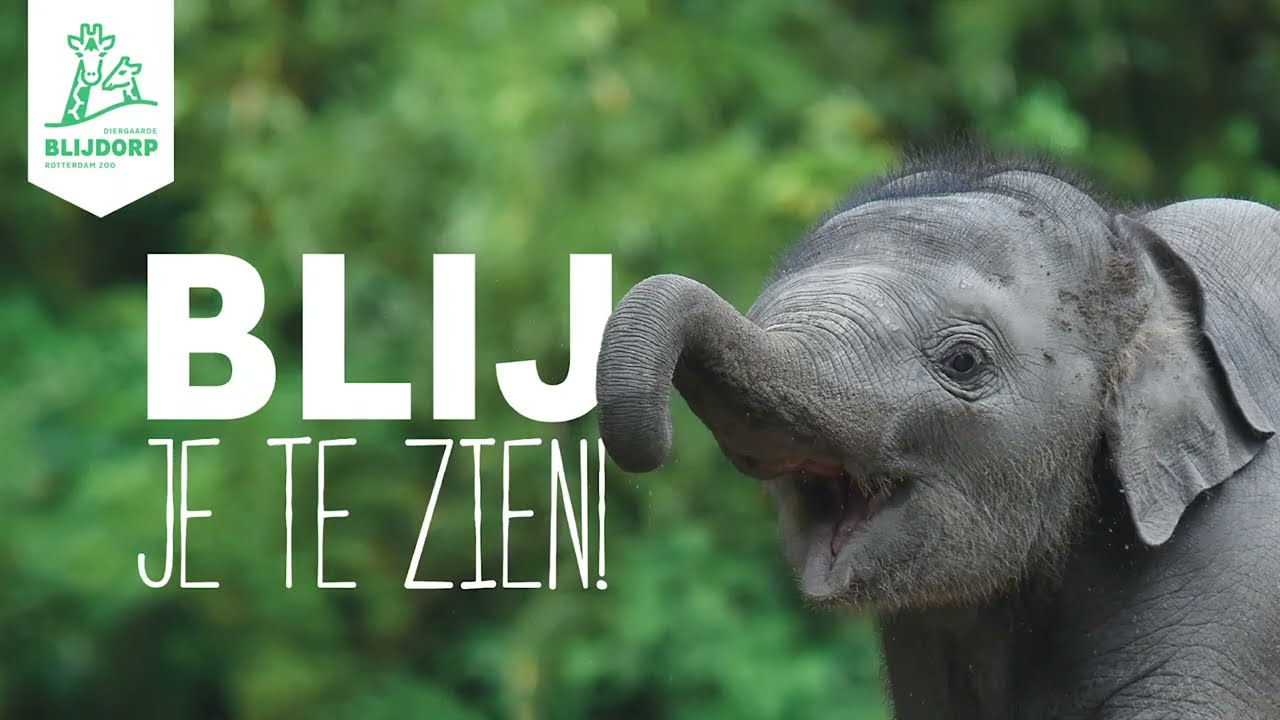 Diergaarde Blijdorp Rotterdam is weer open! Blij je (weer) te zien ...