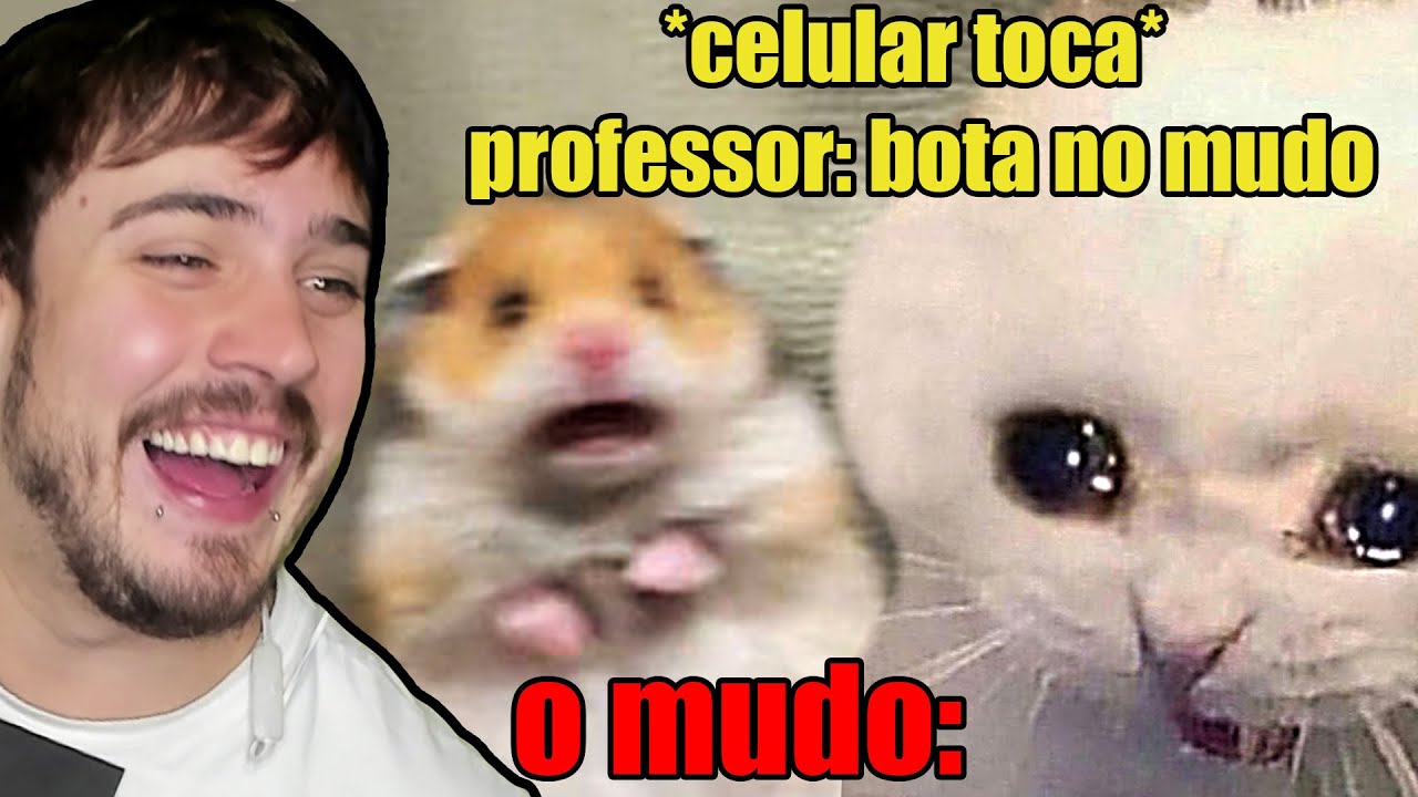 REAGINDO aos MEMES dos INSCRITOS - Cinema dos MEMES - YouTube