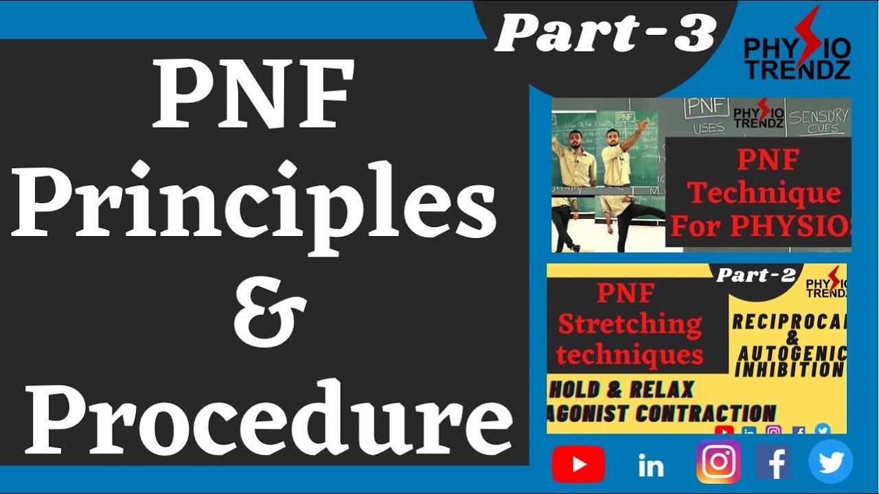 PNF Principles And Procedure |Technique |Physiotherapy |physiotrendz ...