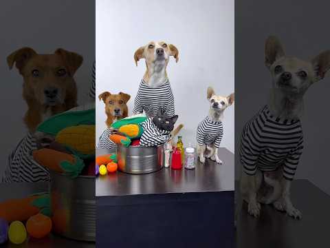 Caldito de gato 😁