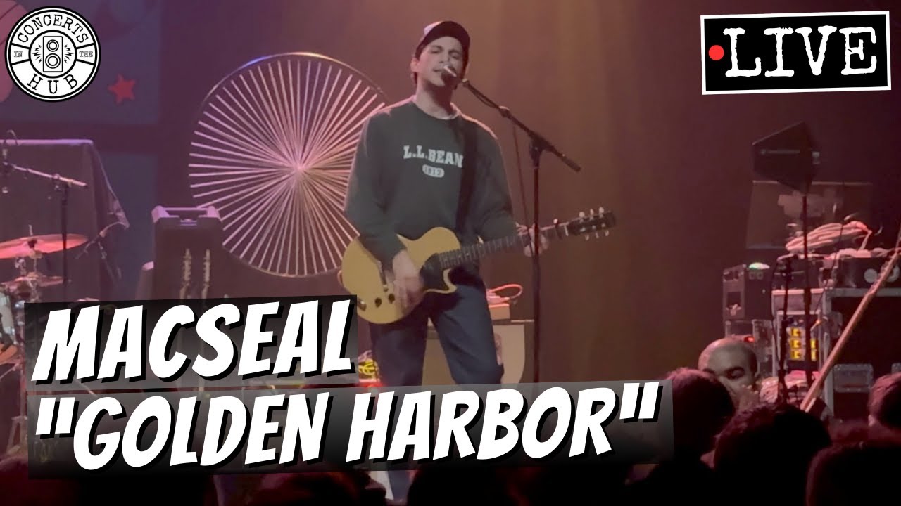 Macseal "Golden Harbor" LIVE - YouTube