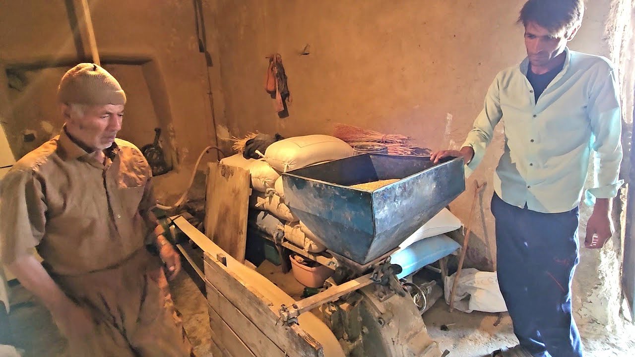 "A Journey to the Nomadic Mill: From Wheat Fields to Fresh Tribal ...