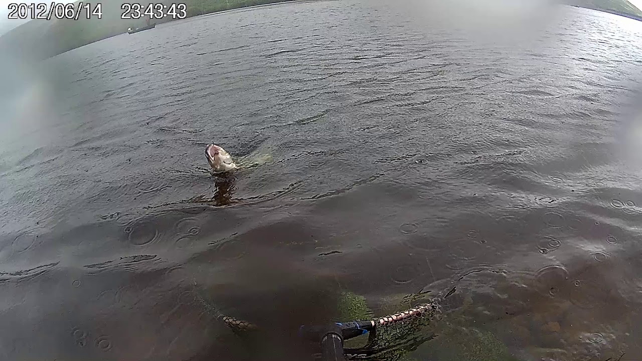 a wet satisfying day at loch frandy wed 3rd sept 2019 - YouTube