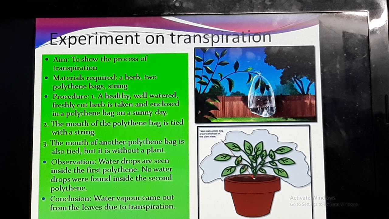 Class 6 Chapter 7 Science Video 2 YouTube class-6-chapter-7-science-video-2-youtube