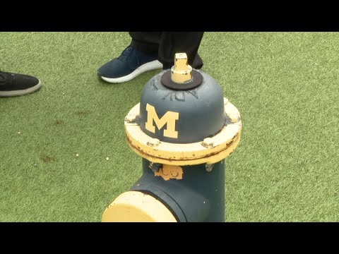 Ohio State veterinary college shares story of Michigan fire hydrant ...