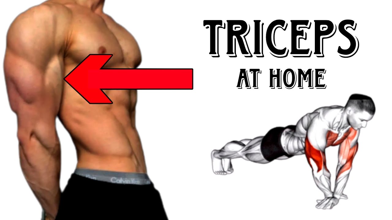Only 4 Exercises For Triceps At Home||No Gym Equipment - YouTube
