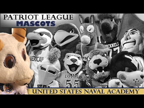 What Is The Usna Mascot