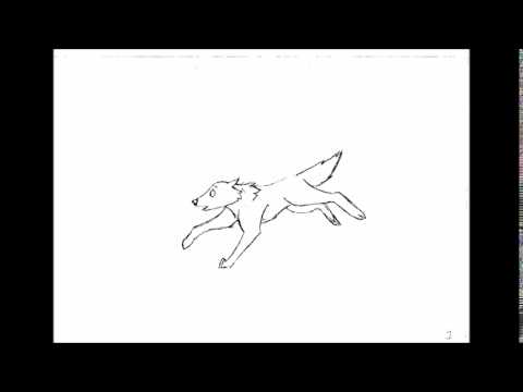 wolf run cycle animation - YouTube