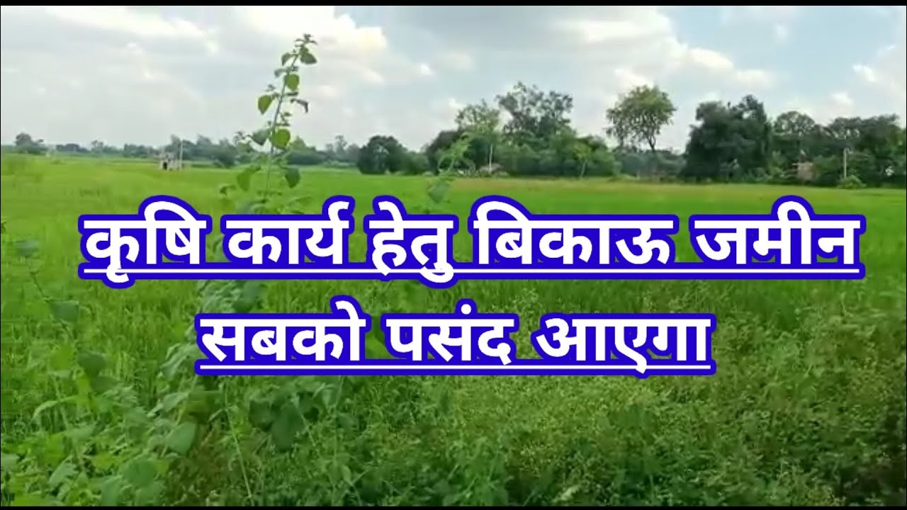 सबसे सस्ता सबसे अच्छा 12 बीघे का प्लाट 🆓😱🔥bikau jameen🆕 plot// - YouTube