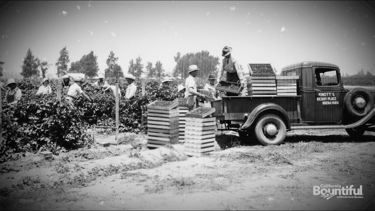 One of California's Most Famous "Farms" - YouTube