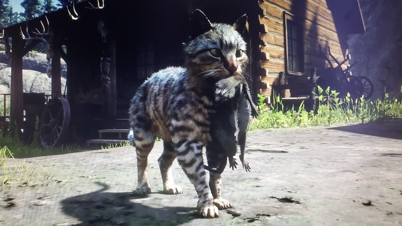 Devo’s D T.V. featuring the queen AND I - YouTube