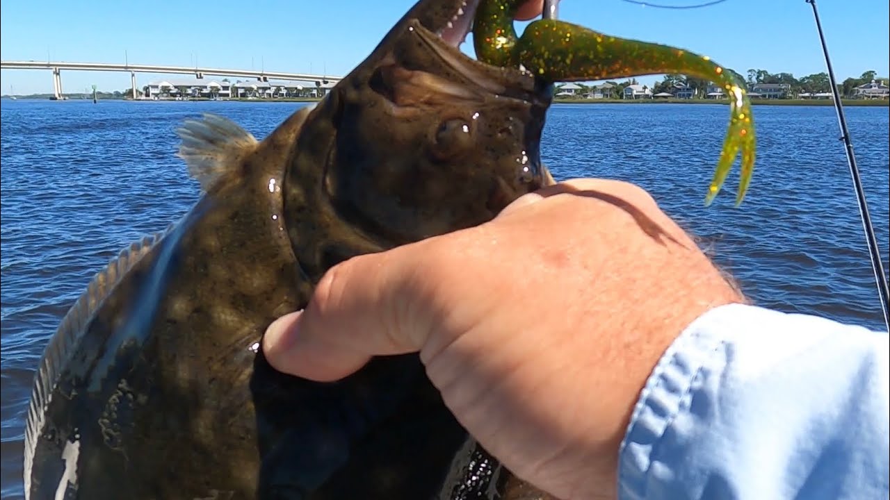 Hurricane Ian is gone and fish are hungry! - YouTube