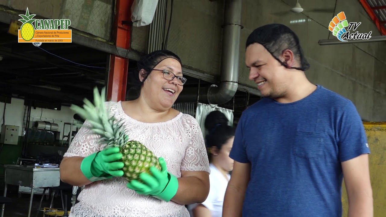 Colaboradores Finca Del Monte - PINDECO - YouTube