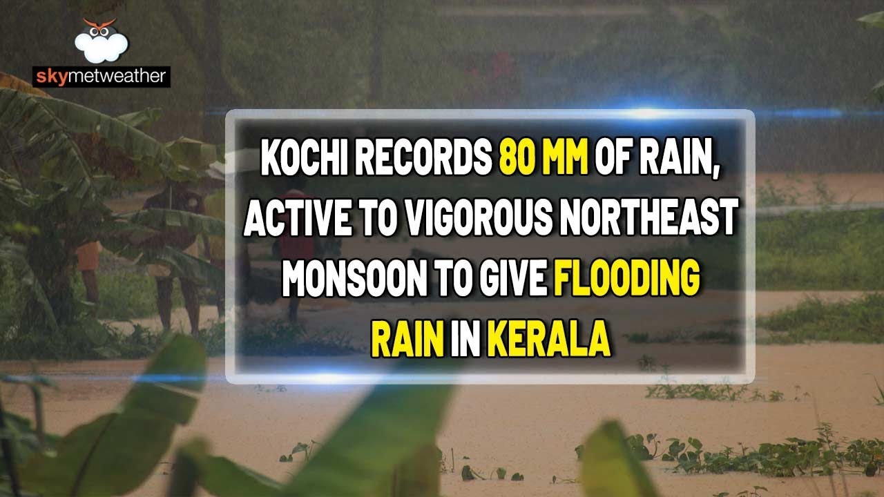 Kochi records 80 mm of rain, active to vigorous Northeast Monsoon to ...