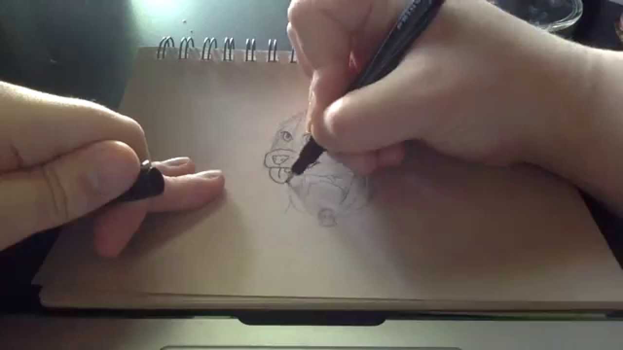 how to draw houndoom - YouTube